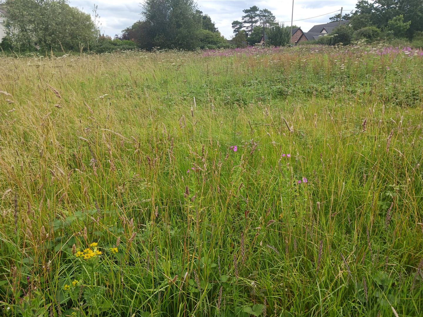 Rural Properties & Land for Sale in Derbyshire & Staffordshire