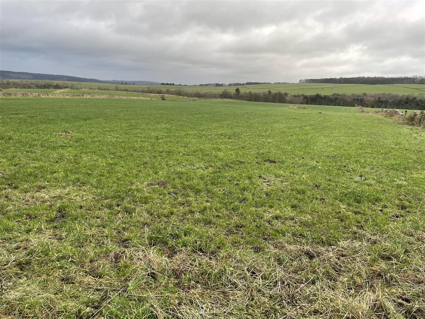 Rural Properties & Land for Sale in Derbyshire & Staffordshire
