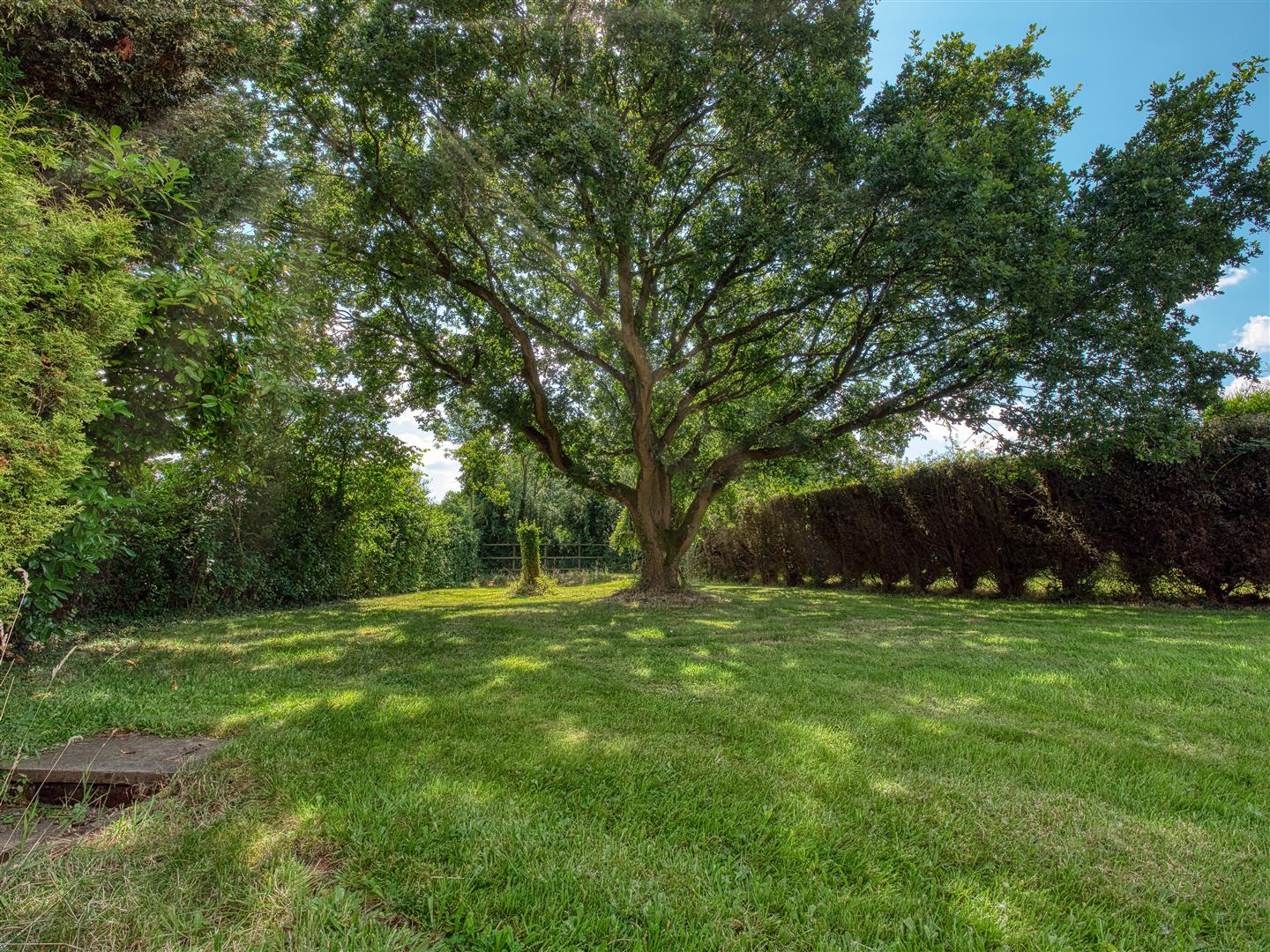 Rural Properties & Land for Sale in Derbyshire & Staffordshire