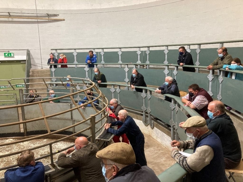 Bakewell Market Report for Monday 3rd August - Bagshaws