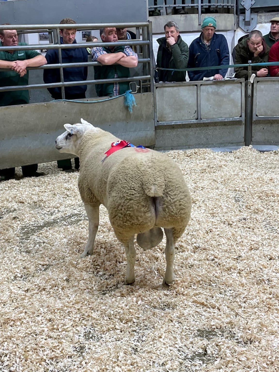 Bakewell Market Ram Fair - Bagshaws