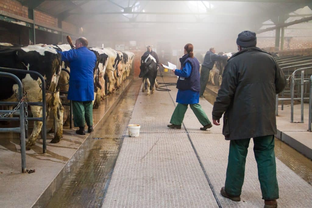 Leek Market Report - Bagshaws