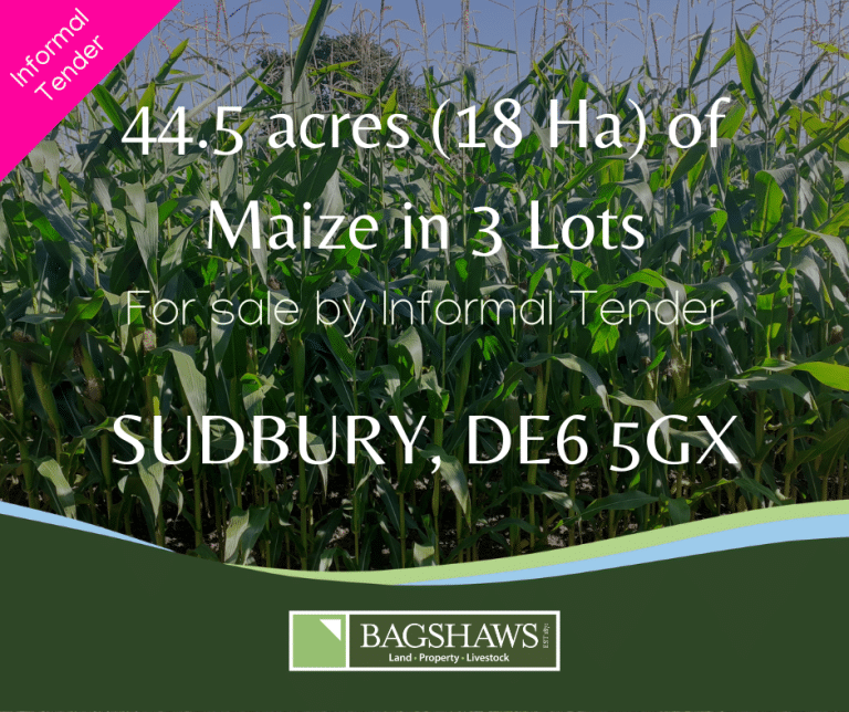 Fodder & Other Auctions - Bagshaws