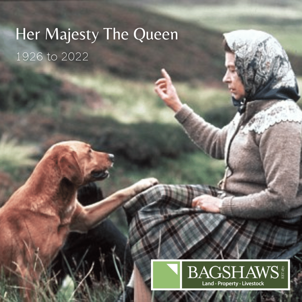 Tribute to the Queen - Bagshaws