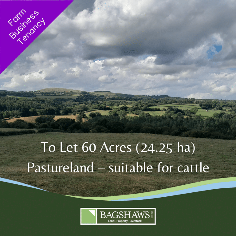 Livestock & Dairy - Bagshaws