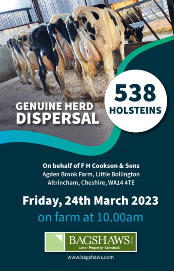 Latest News - Bagshaws