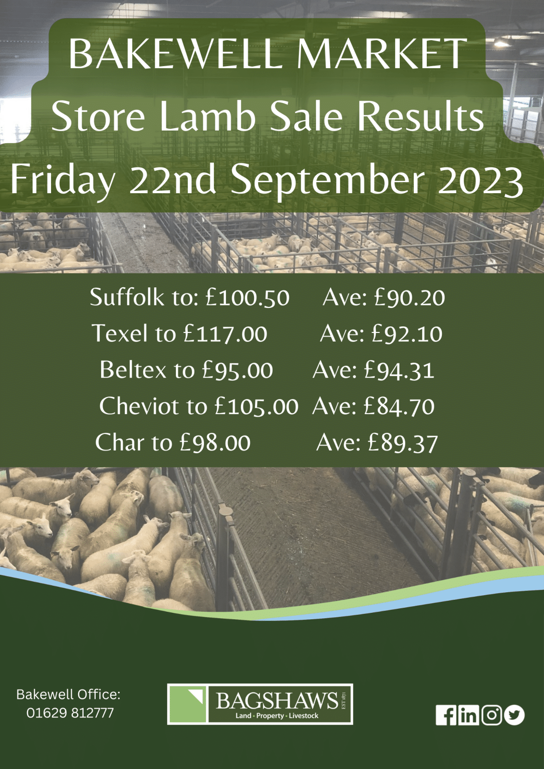 Bakewell Market Store Lamb Sale - Bagshaws