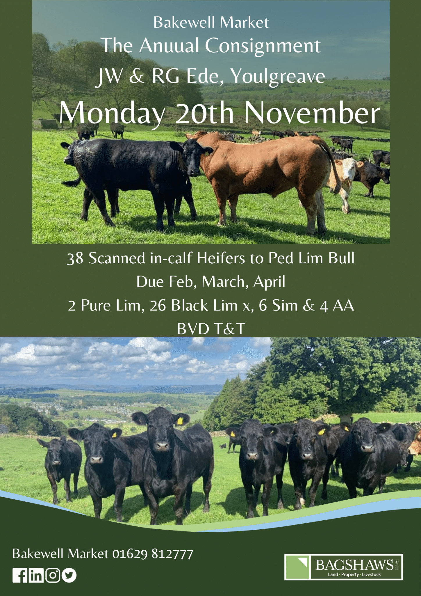 Bakewell Market Report - Bagshaws