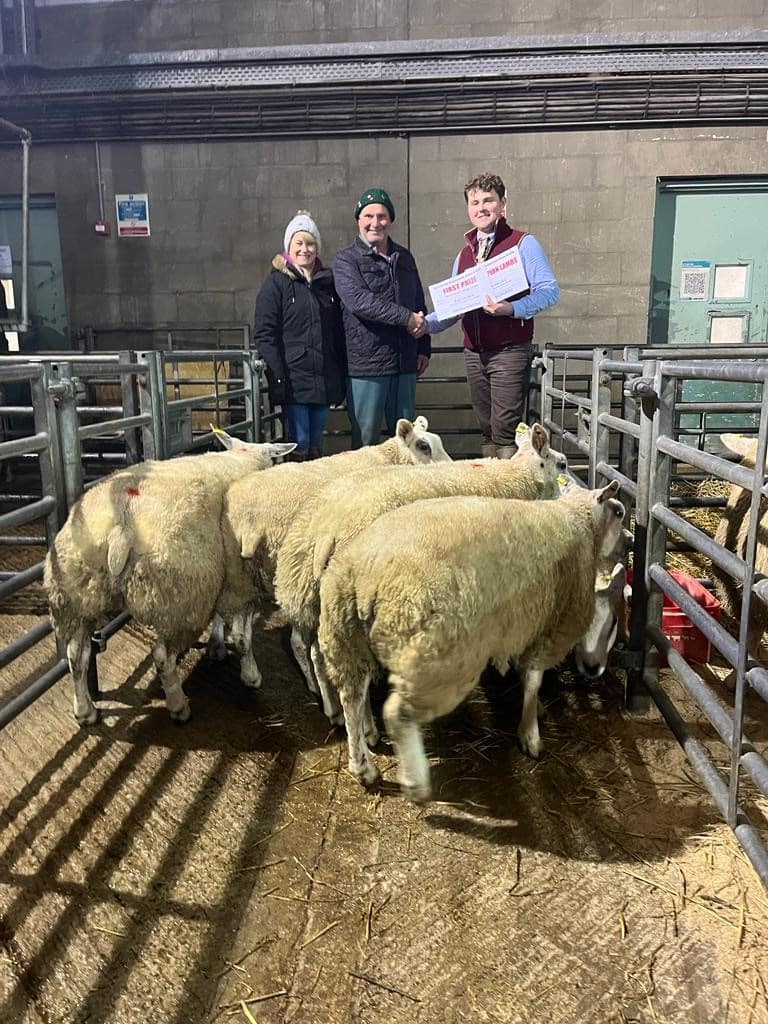 Bakewell Market Report - Bagshaws