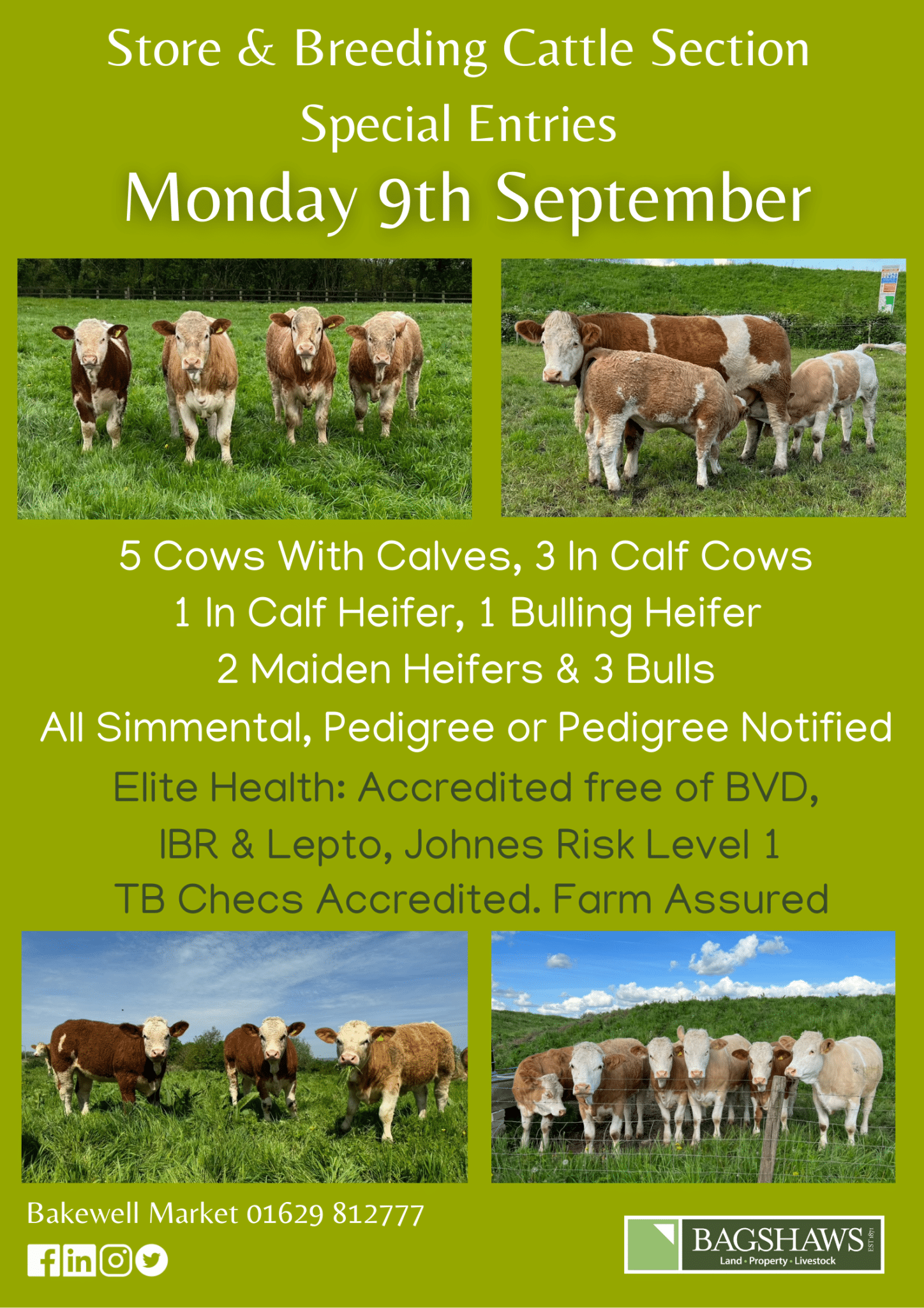 Bakewell Market Report - Bagshaws