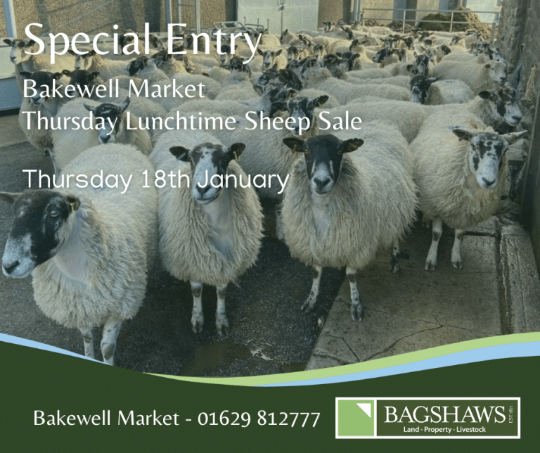 Bakewell Market Report - Bagshaws