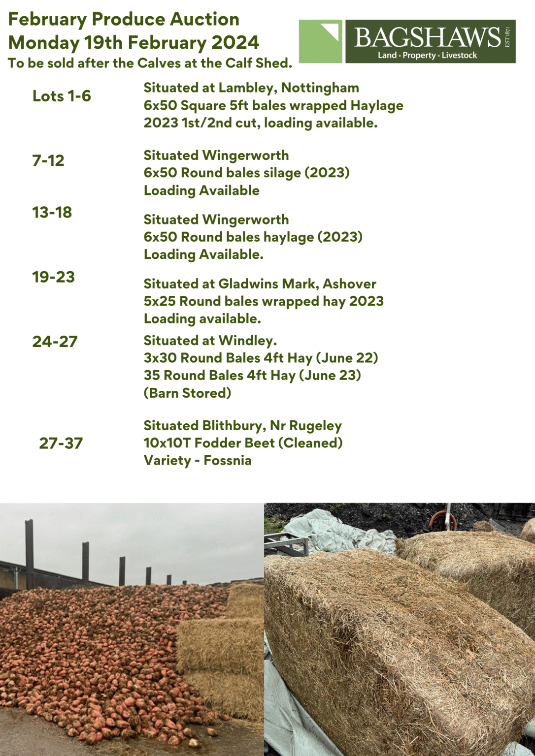 Bakewell Market Report - Bagshaws