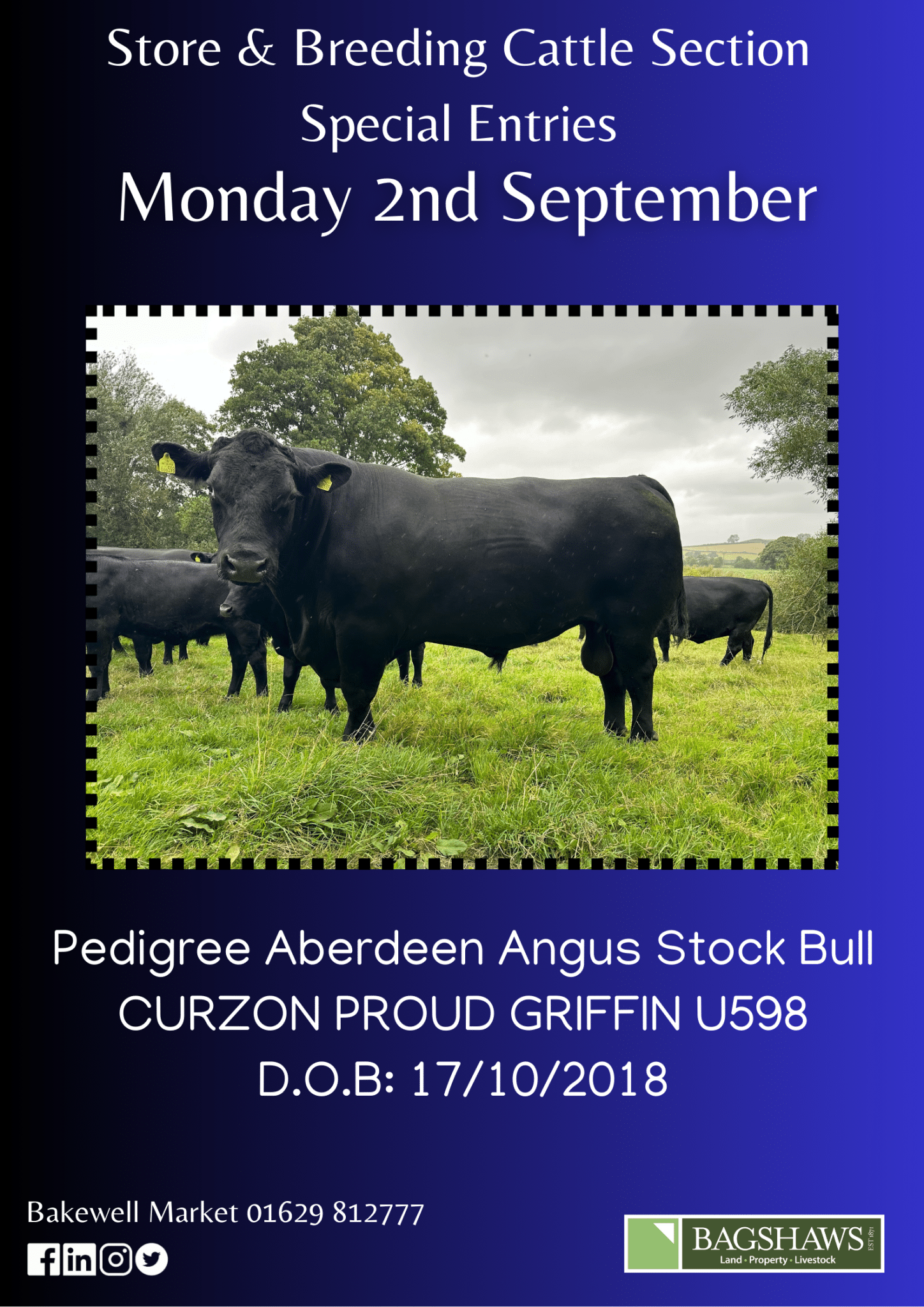 Bakewell Market Report - Bagshaws