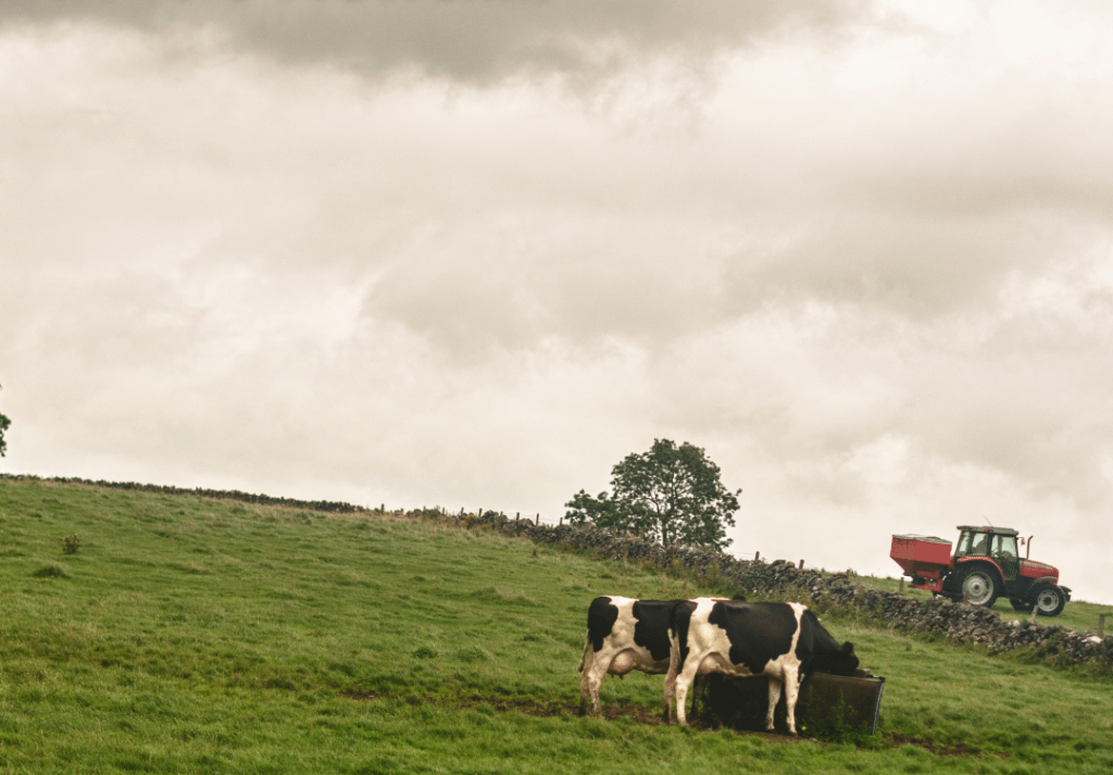 Bagshaws - Land, Property & Livestock