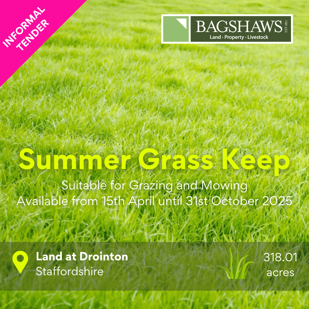 Summer Grass Keep - Bagshaws