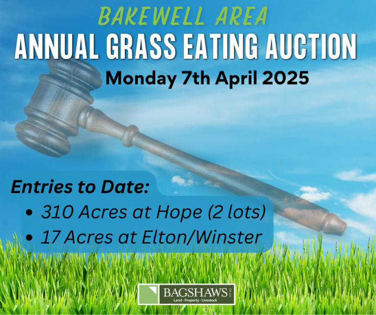 Bakewell Annual Grass Eating Auction - Bagshaws