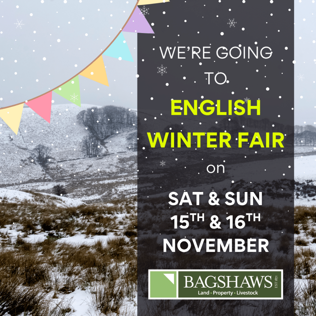 ENGLISH WINTER FAIR - Bagshaws