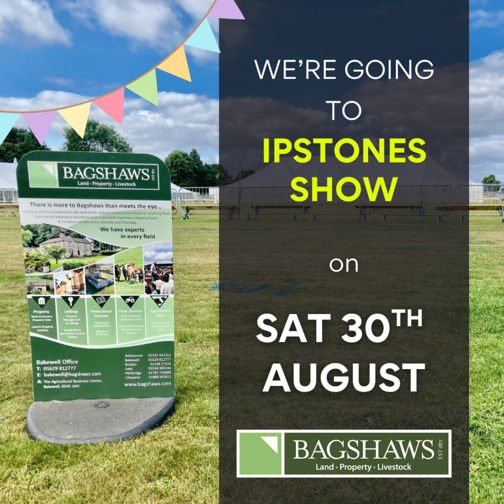 IPSTONES SHOW - Bagshaws